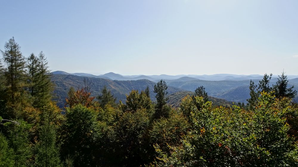 Pfälzerwald – Biosphärenreservat Pfälzerwald-Nordvogesen
